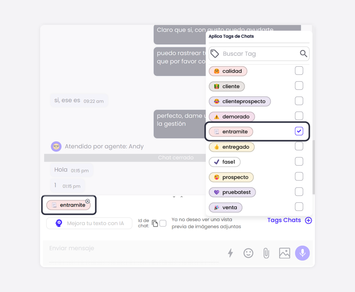 ¿Cuáles son los tipos de tags?